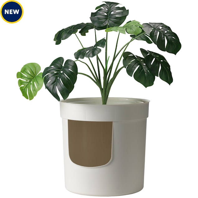 Moderna Planter Perfect Hidden Litter Box for Cats, X-Large | Petco