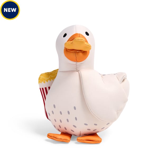 Leaps & Bounds Seagull Floating Plush Dog Toy, Medium | Petco