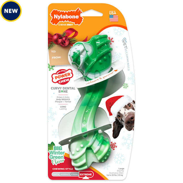 Nylabone Wintergreen Holiday Power Curvy Dental Bone Chew Dog Toy ...