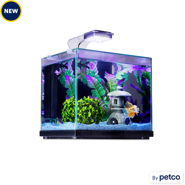 Imagitarium Glass Versa Aquarium, 3.7 Gallons | Petco