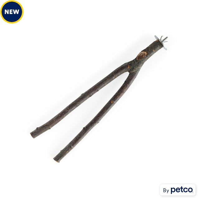 You & Me Bird Manzanita Wood Multi-Branch Bird Perch Toy, Medium | Petco