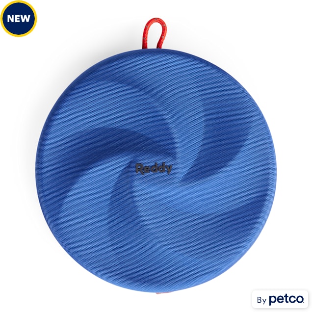 Reddy Blue On-the Go Flyer Dog Toy, Small | Petco