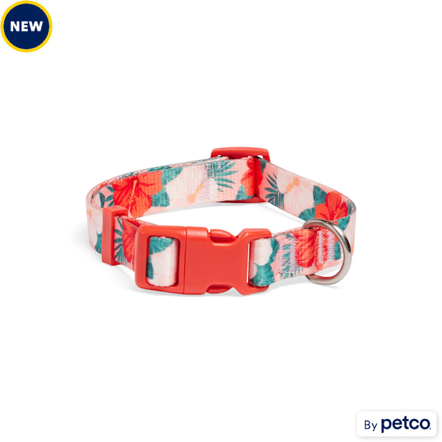 YOULY Hawaiian Dog Collar, X-Small | Petco