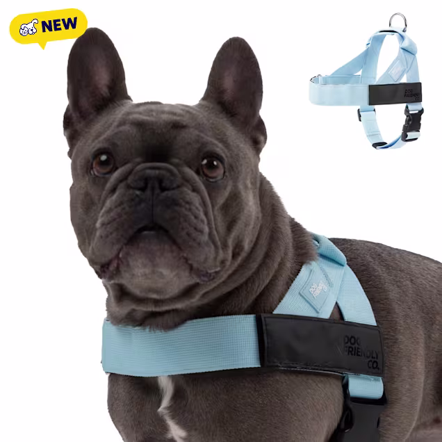 Dog Friendly Co Chafe Resistant Webbing, Adjustable Neck & Chest, and ...