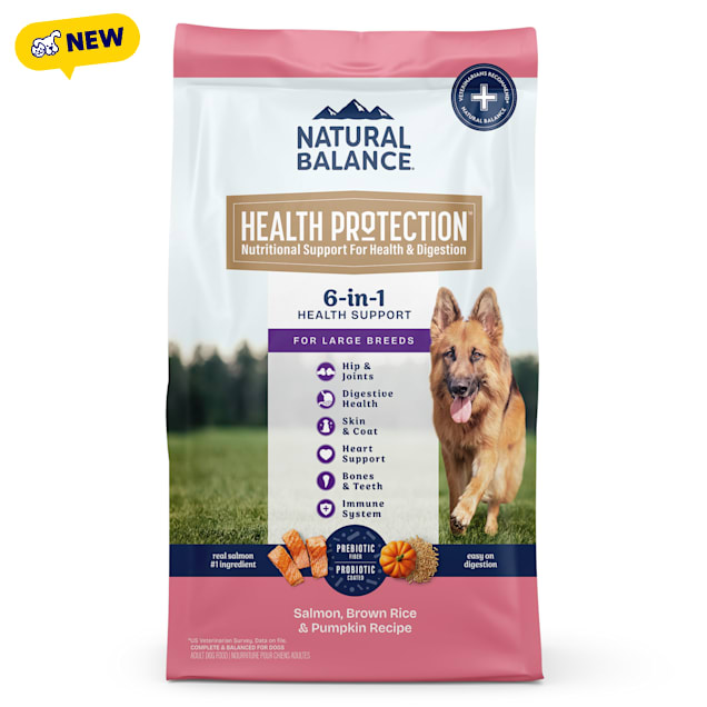 Natural Balance Health Protection Salmon & Rice Recipe Large Breed Dry ...