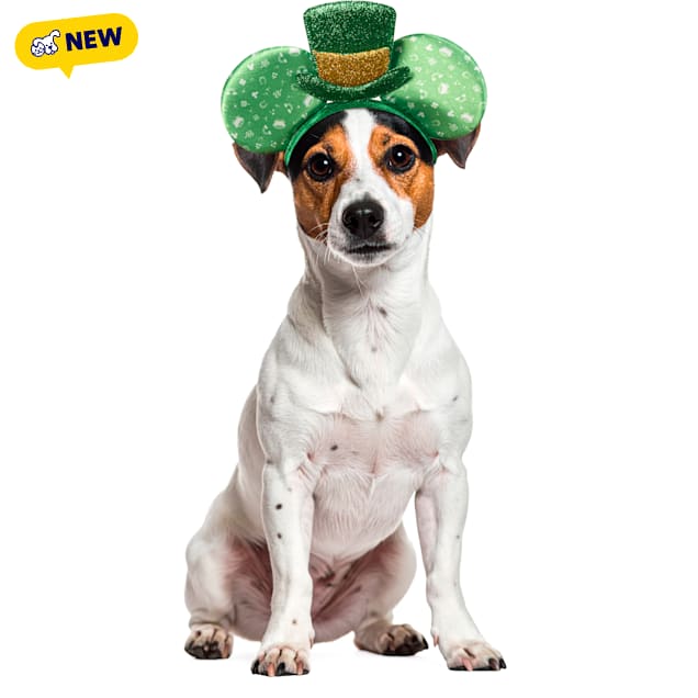 RUBIES Mickey Ears St.Patricks for Dogs, Green, Medium/Large | Petco