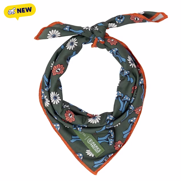 Lucy & Co. Power to The Parks Dog Bandana, Large | Petco