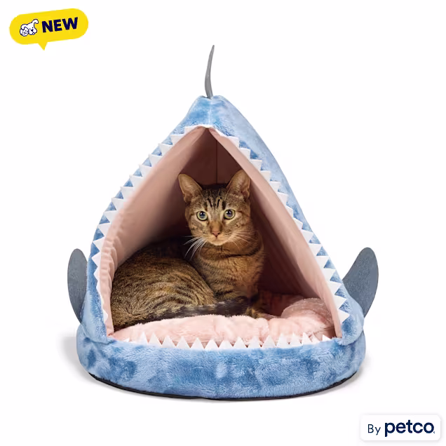 pet shark bed