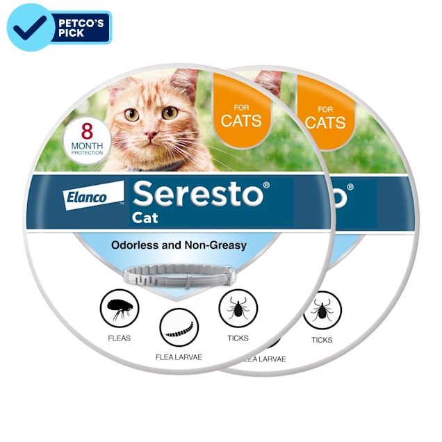 Seresto Elanco Vet-Recommended Flea and Tick Prevention Collar for Cats ...