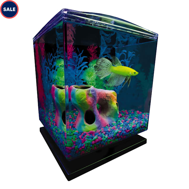 Glofish Logo