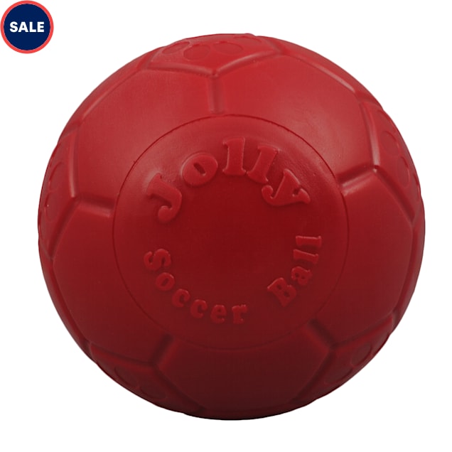 Jolly Pet Jolly Soccer Ball Assorted Dog Toy, Large | Petco