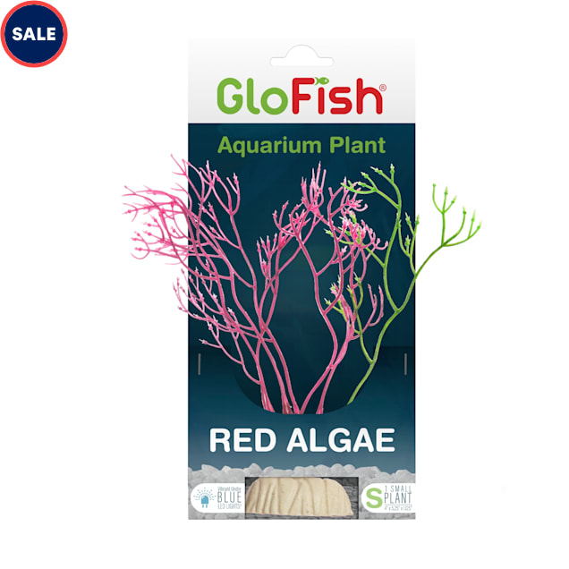 GloFish Red Algae Fluorescent Plant for Blue LED Aquariums