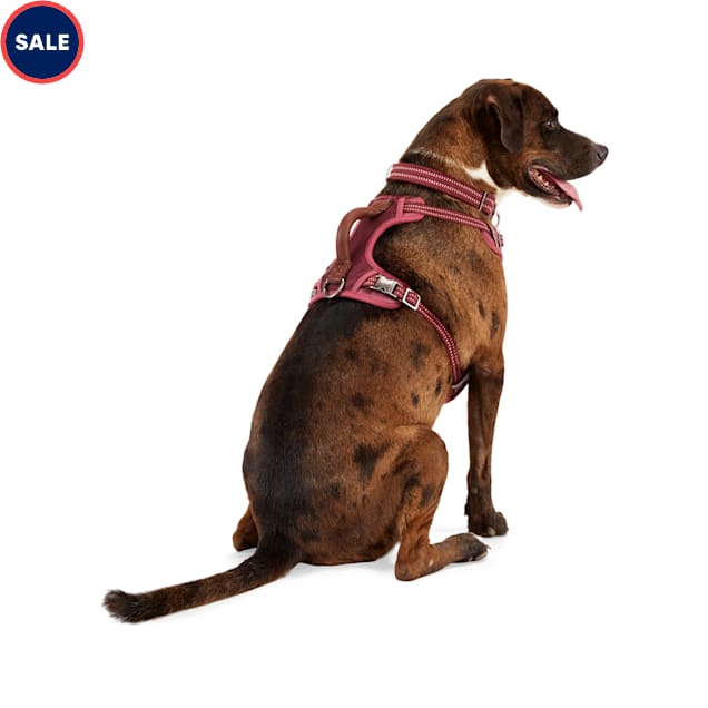 Reddy Burgundy Canvas Dog Harness, X-Large/XX-Large | Petco