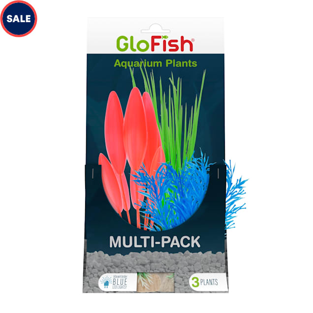 GloFish Contains Small Blue, Medium Green, Large Orange Artificial ...