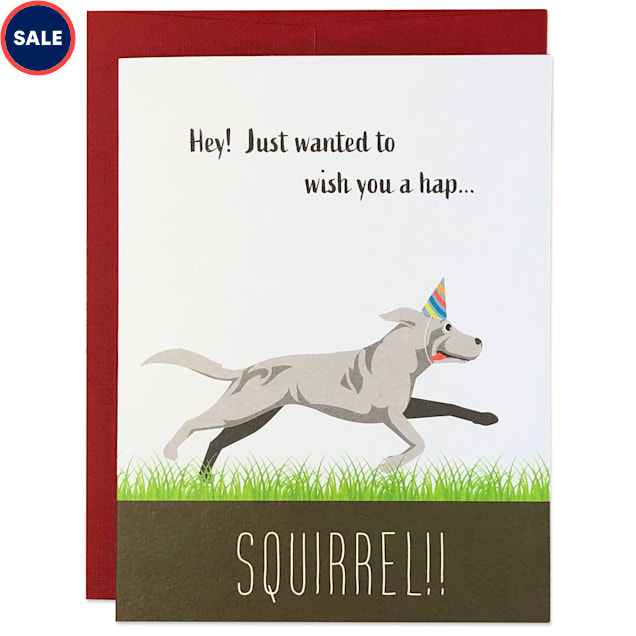 Moose & Pig Squirrel Dog Birthday Card | Petco