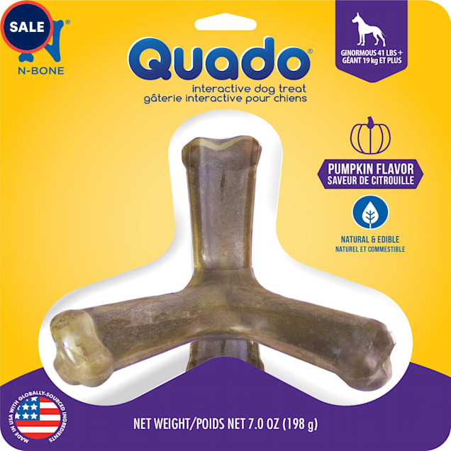 N-Bone Quado Pumpkin Flavor Interactive Large Dog Treats, 7 oz. | Petco