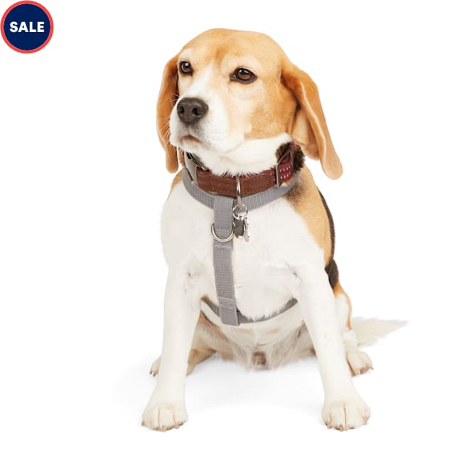 Reddy Grey Reflective Dog Harness, Medium | Petco