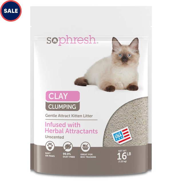So Phresh Scoopable Gentle Attract Kitten & Picky Kitty Litter, 16 lbs ...