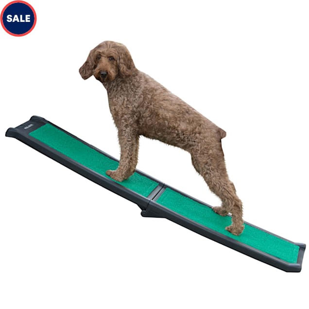 Pet Gear Bi-Fold Pet Ramp with SupertraX | Petco