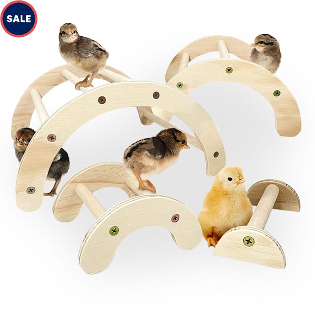 Backyard Barnyard Nesting Chick Perch, Pack of 4 | Petco