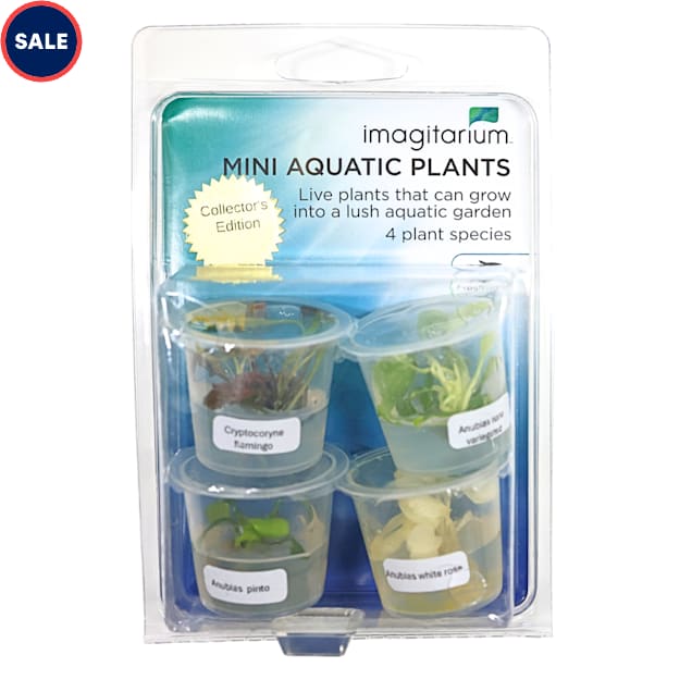 Mini 4 Pack TC Cups Collectors Edition | Petco