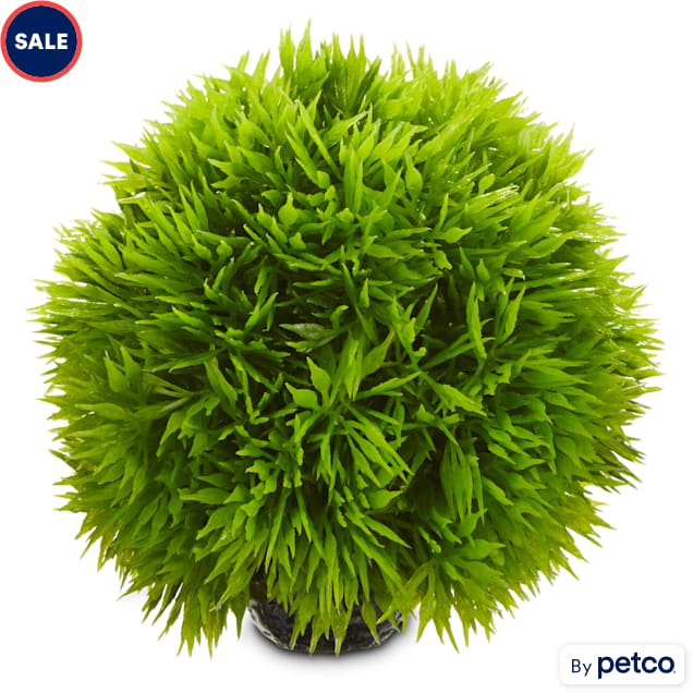 Imagitarium Moss Ball Plastic Aquarium Plant | Petco