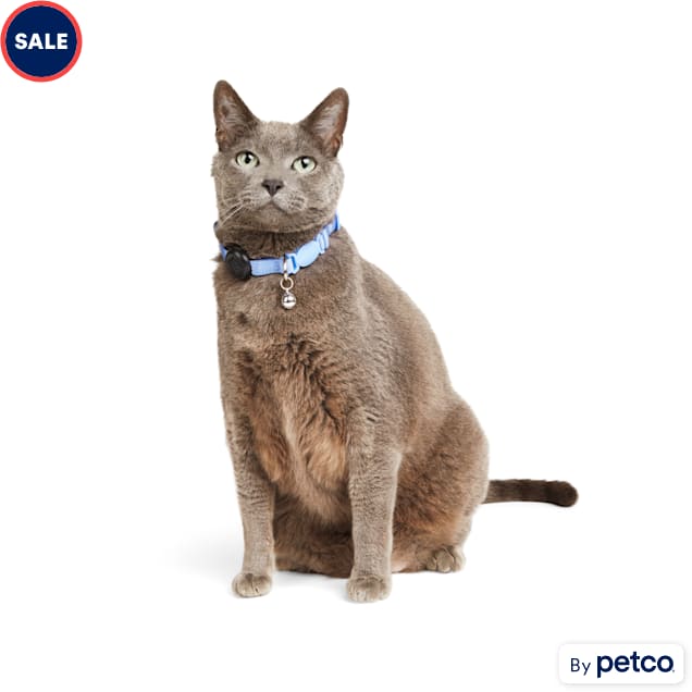 YOULY Blue LED Cat Collar | Petco