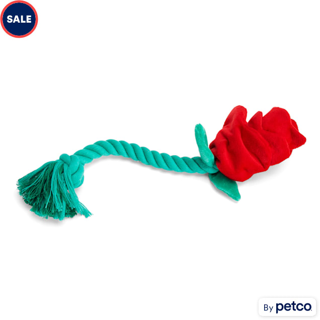 YOULY Valentine's Day Rose Rope Dog Toy, Large | Petco