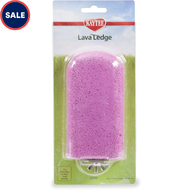 Kaytee Lava Ledge for Small Animals | Petco