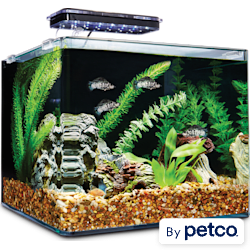 petco fish tanks small