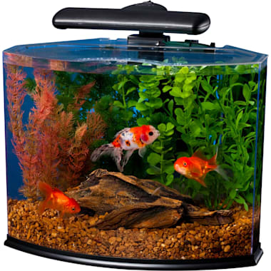 Best Fish Tanks of 2024 According to Customers | Petco