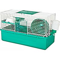 hamster petco