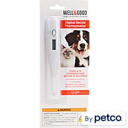 rectal temperature range for dogs