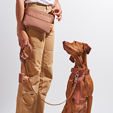 Wild One Dog Products: Collars, Leashes, Toys & More | Petco