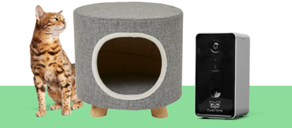 Pet Supplies, Pet Food, and Pet Products | Petco