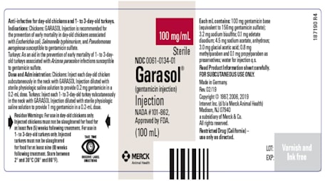 Gentamicin: Pet Medication for Resistant Bacterial Infections | Petco