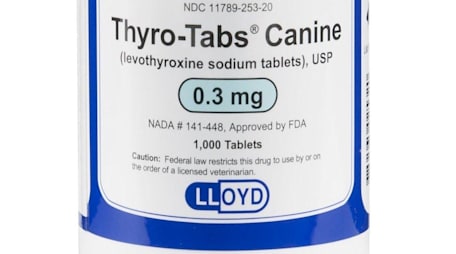 Levothyroxine: Pet Hypothyroidism Treatment & Dosage | Petco
