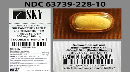 Trimethoprim-Sulfa (TMP-SMX): Pet Antibiotic for Infections | Petco