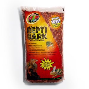 Pet Tortoise Care: Essential Guide to Food, Habitat & Health | Petco