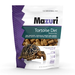 Pet Tortoise Care: Essential Guide to Food, Habitat & Health | Petco