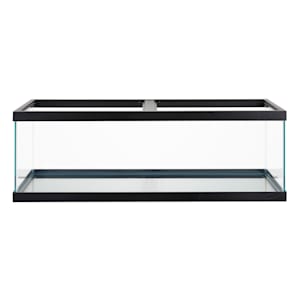 Pet Tortoise Care: Essential Guide to Food, Habitat & Health | Petco