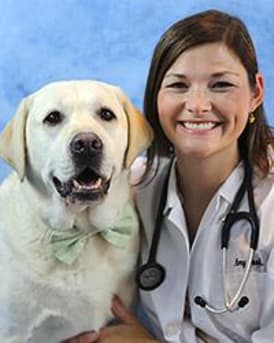 Amy Poole, DVM | Petco Pet Education Center