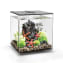 biOrb Cube Black Aquarium With Micro Light