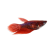 Red Female Veiltail Betta Fish for Sale: Order Online | Petco