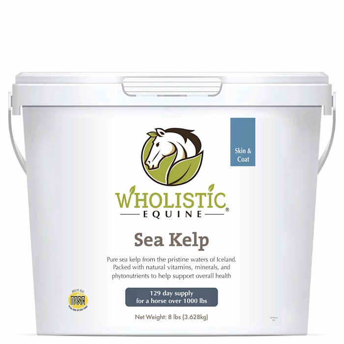 UPC 877607000692 - Wholistic Pet Organics Sea Kelp Supplement, 8 lb (B014PFNP0W) | upcitemdb.com