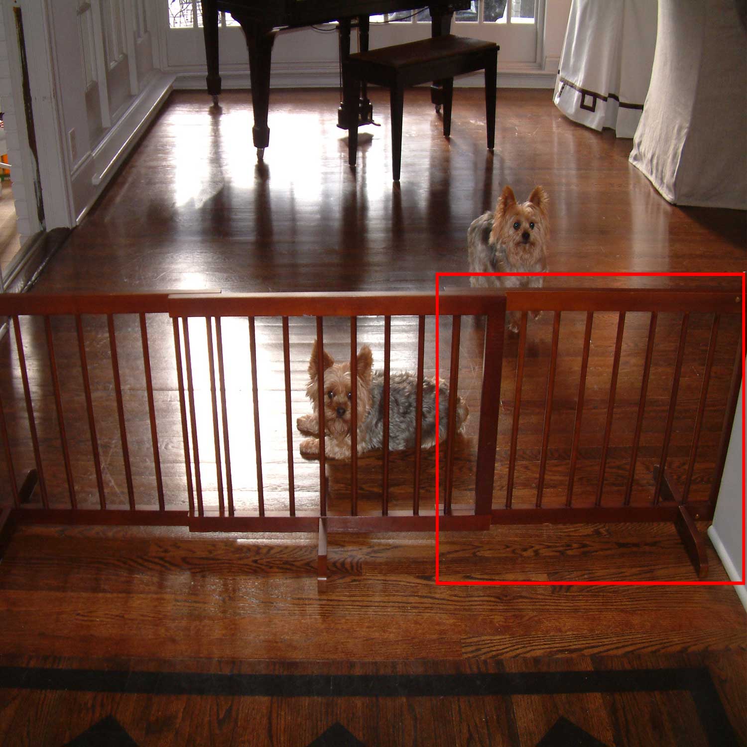 Cardinal Gates Walnut Step-Over Pet Gate Extension, 1" L X 22" W X 20 ...