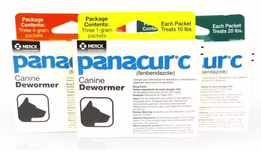 Fenbendazole for Pets: Dewormer for Worms, Giardia & Parasites | Petco