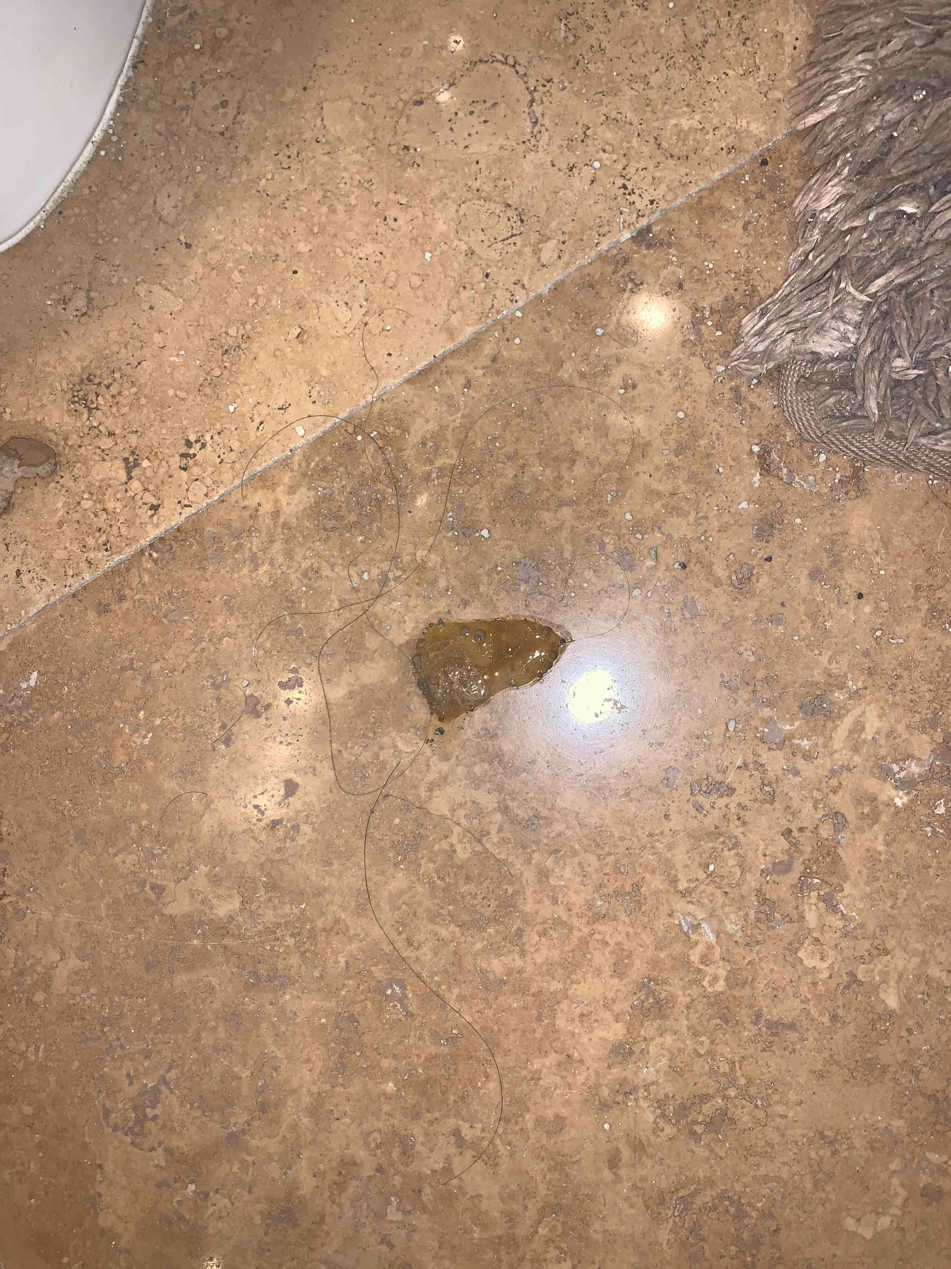 Why is my cat's poop liquid after Greenies dental treats? | Petco