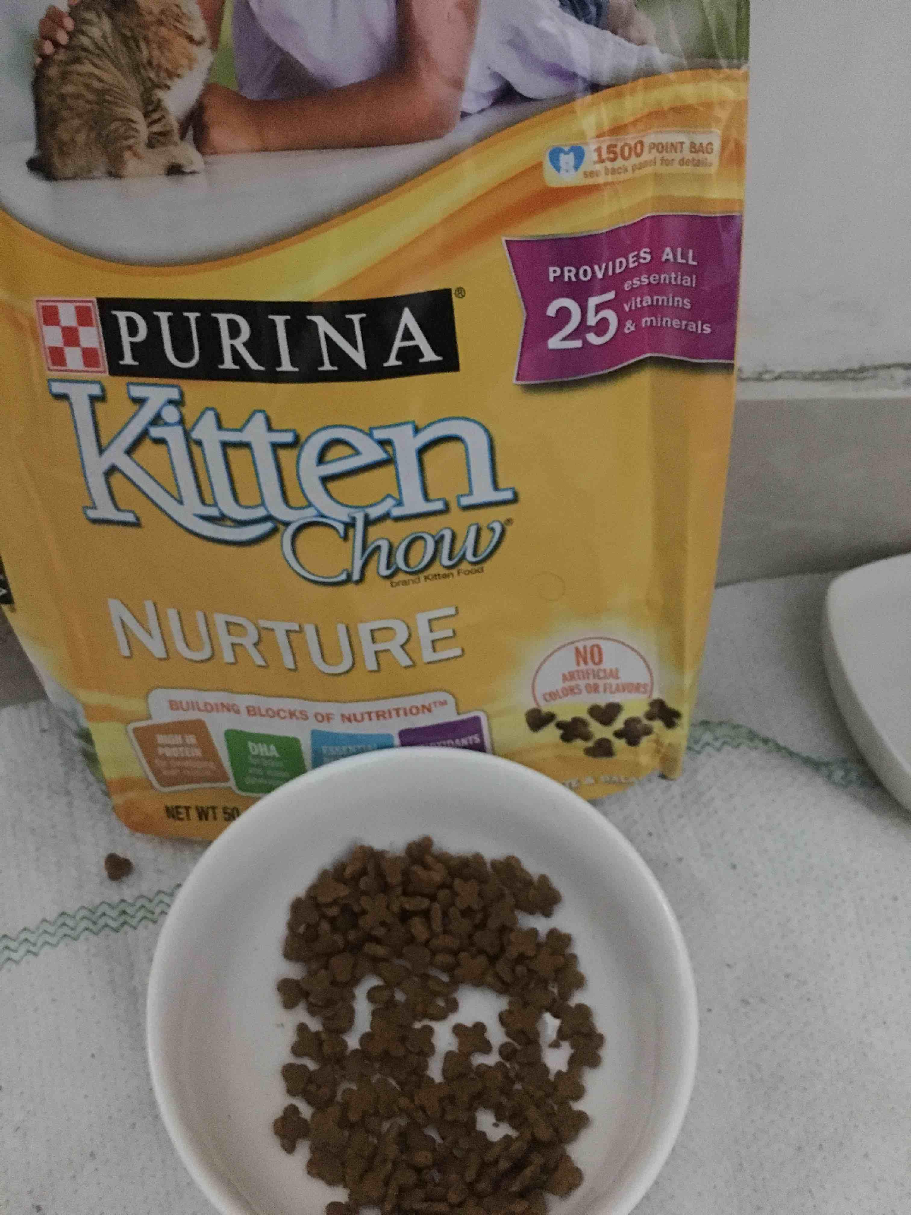 Why Won't My Cats Eat Dry Food But Love Wet? Are They Underfed? | Petco