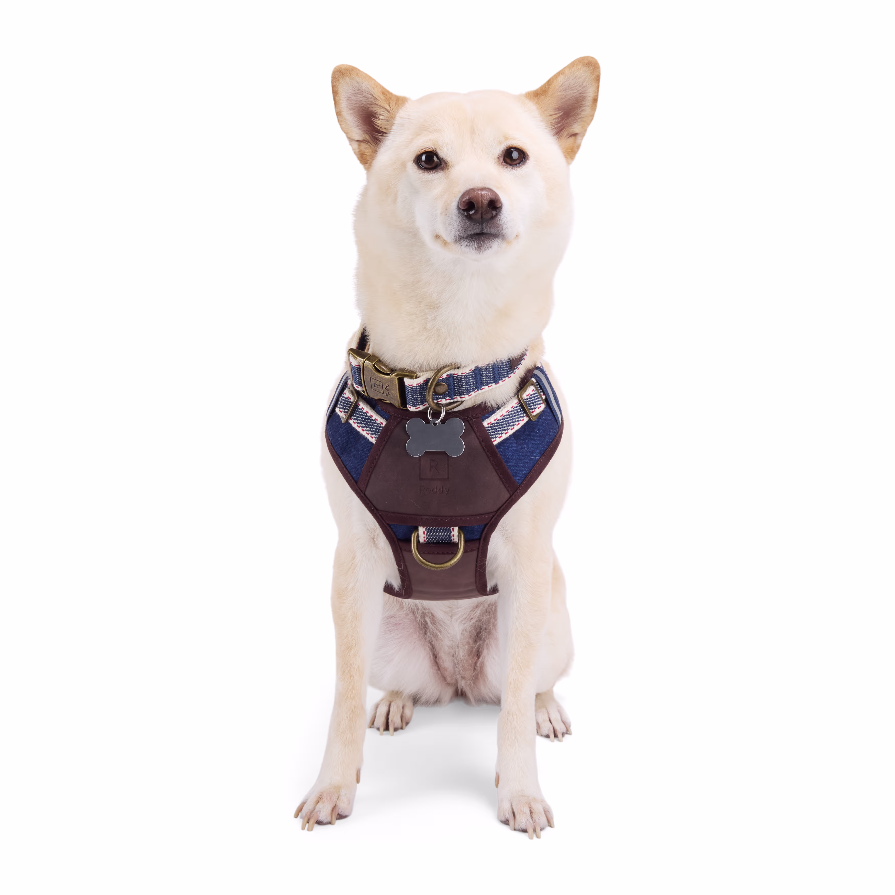 Reddy Denim Dog Harness, XX-Large/3X-Large | Petco